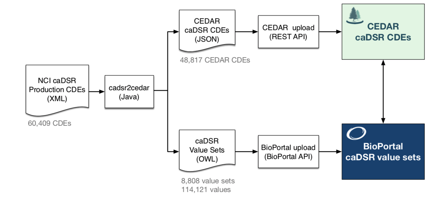 Happenings Archives - Metadata Center